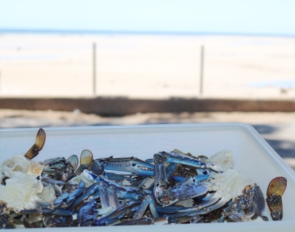 Recipes from the Caravan – Caravan Correspondent