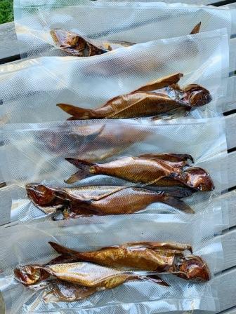 Fish Smoker – Gear Review – Caravan Correspondent