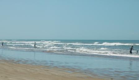 Goolwa Cockle Season and the Kuti Shack 2020 – Caravan Correspondent