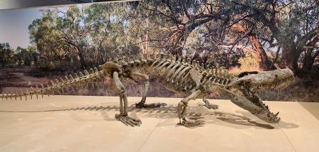 Megafauna of Central Australia – Caravan Correspondent