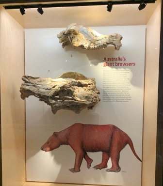 Megafauna of Central Australia – Caravan Correspondent
