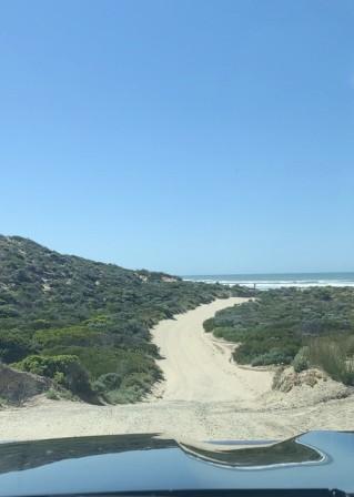 Goolwa Cockle Season 2021 – Caravan Correspondent