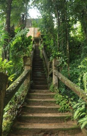 7 Things you probably didn’t know about Paronella Park (but should ...