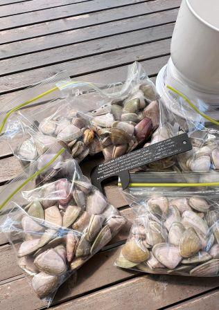 Goolwa Cockle Season 2023 – Caravan Correspondent