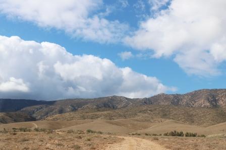 Big Adventures at Mt Little Station – Caravan Correspondent